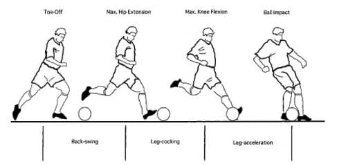 Going geek to reduce the risk of kicking injuries by Dan Bernardin – FSCR